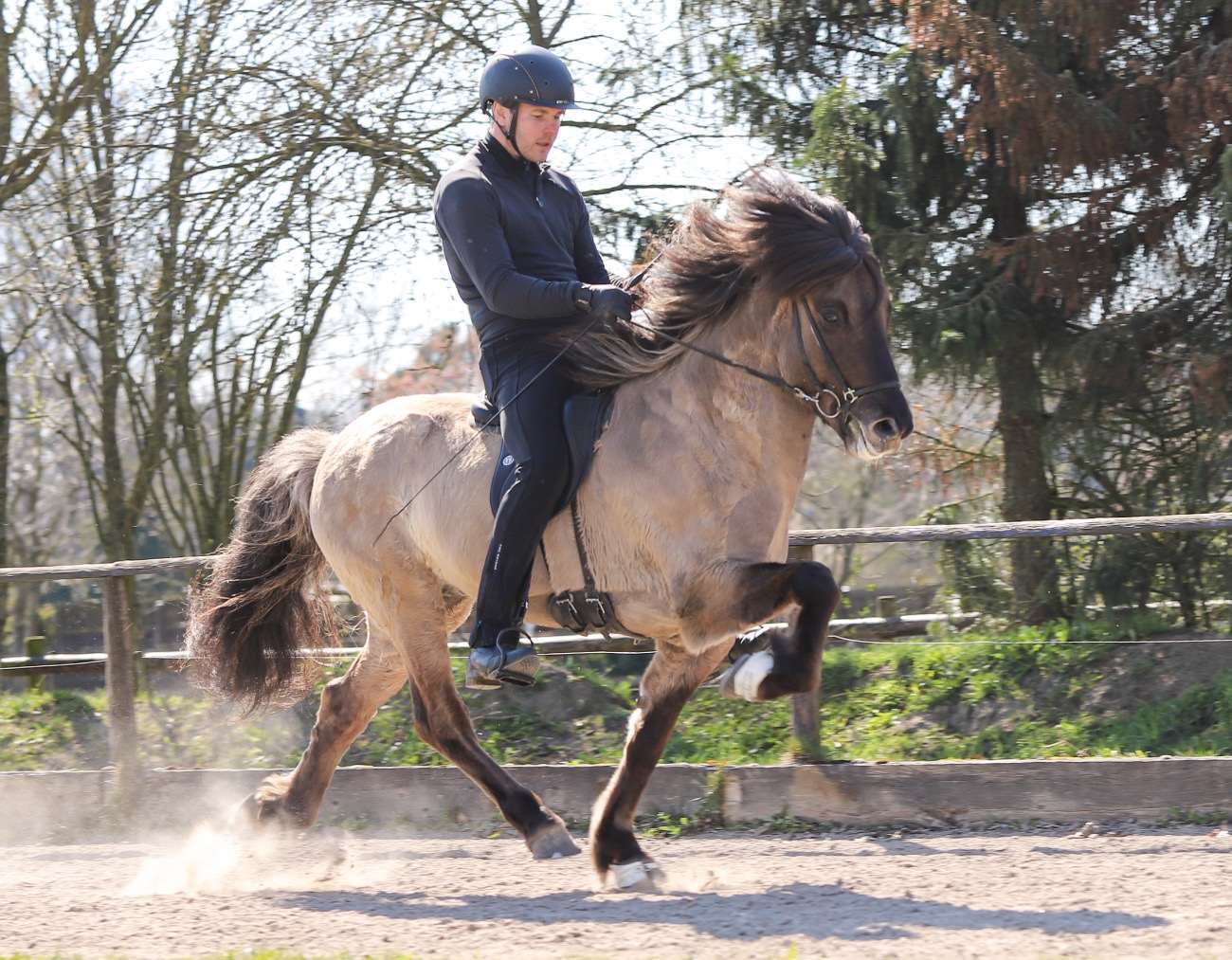UNDRA - Discover the world of Icelandic horses
