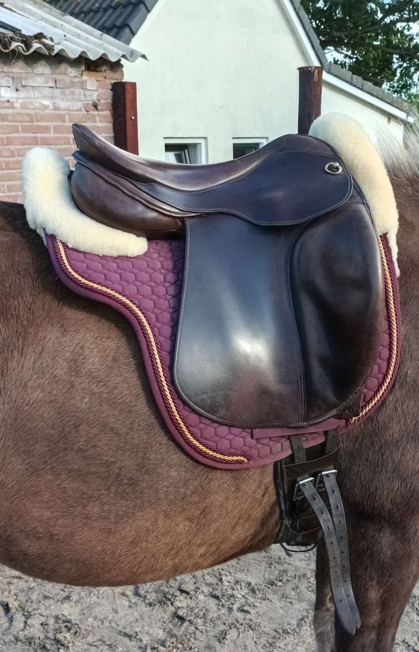 UNDRA - Discover the world of Icelandic horses